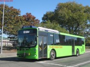 Bus Info New Zealand