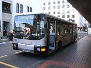 Bus Info New Zealand